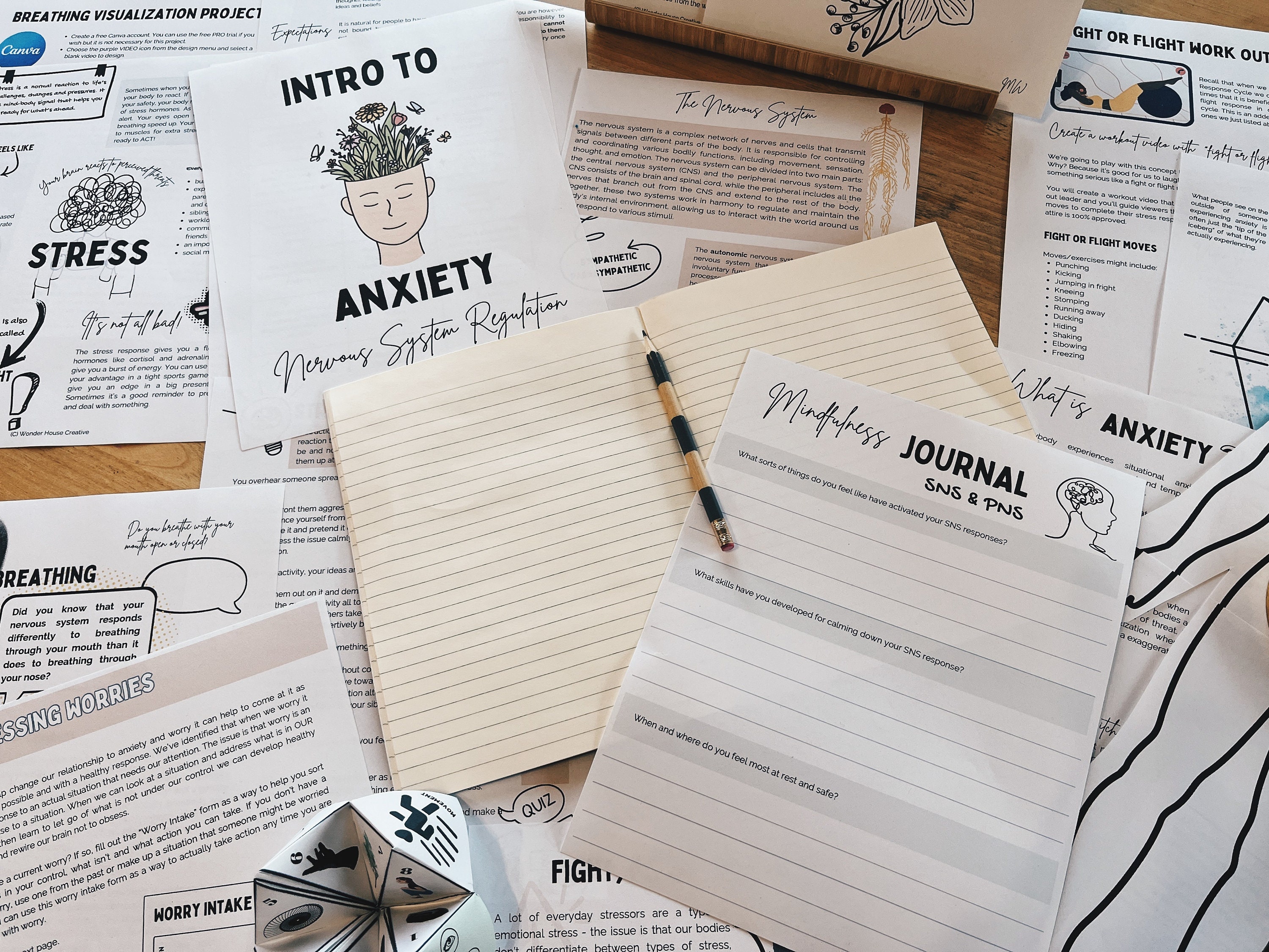 Intro to Anxiety & Nervous System Regulation, Digital PDF Unit Study ...