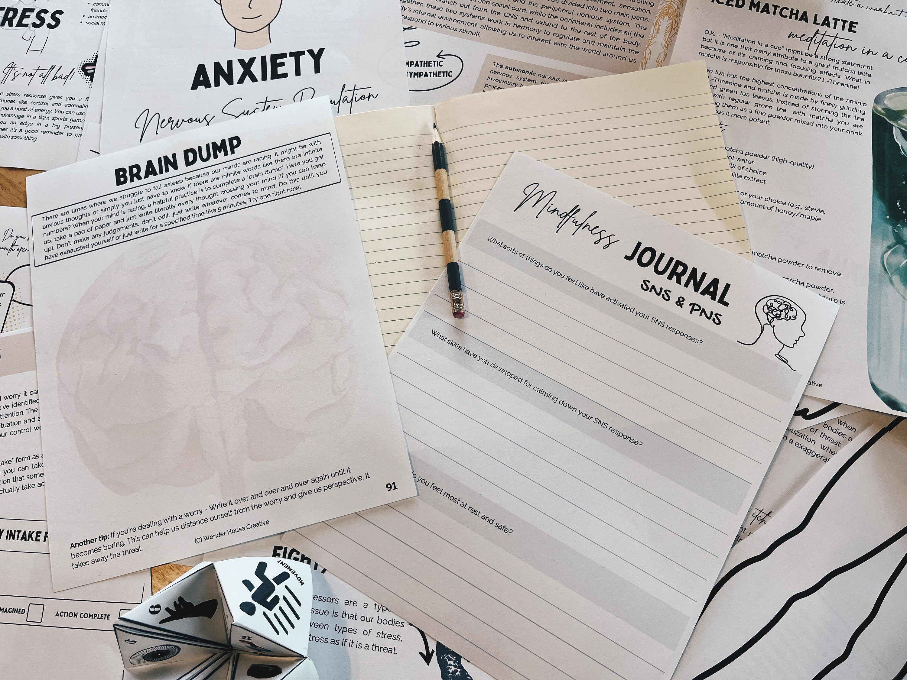 Intro to Anxiety & Nervous System Regulation, Digital PDF Unit Study ...