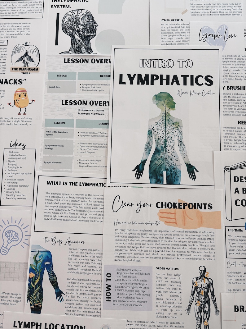 Introduction to Lymphatics Unit Study, Human Body Systems, Middle Years ...