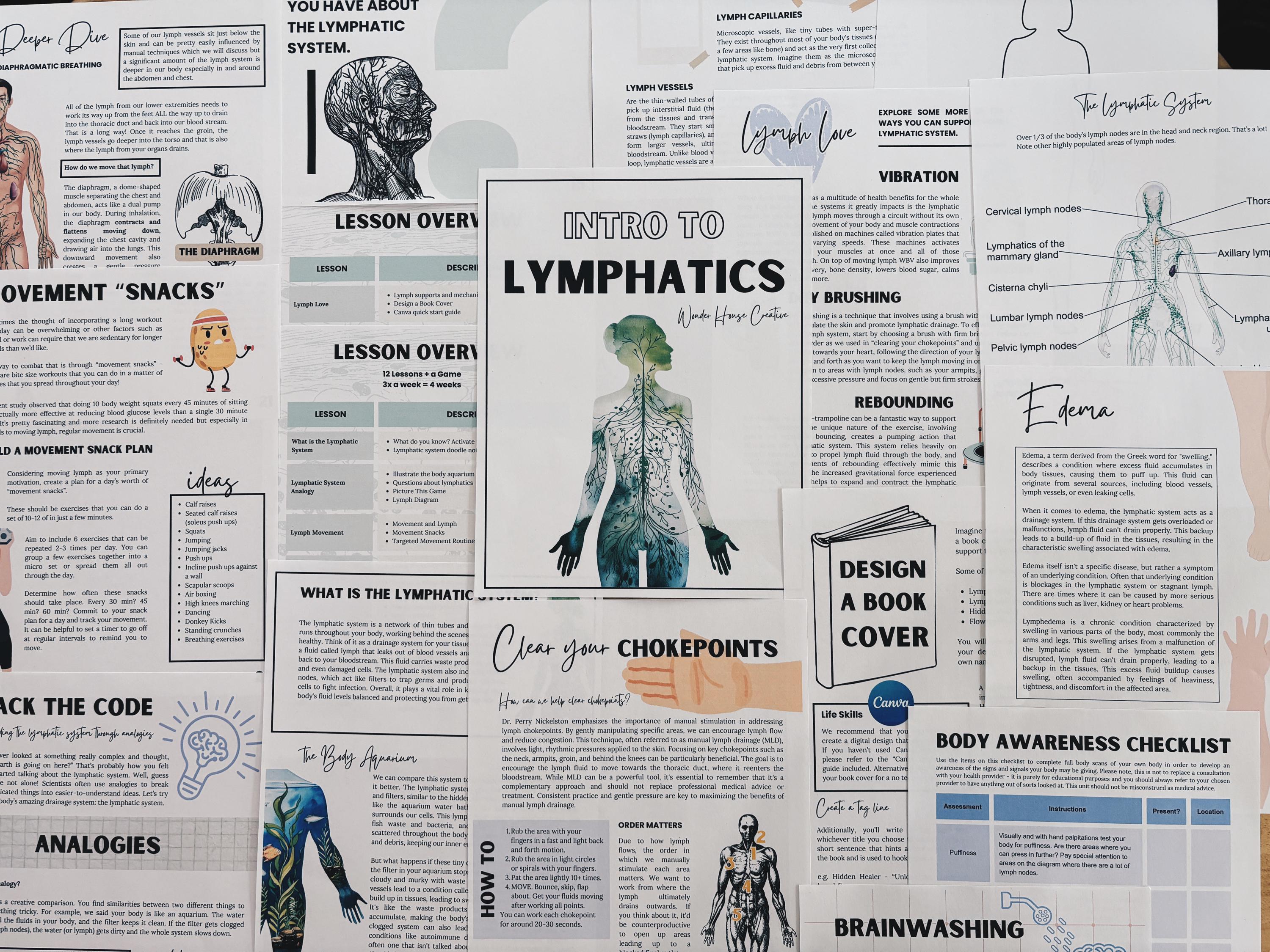 Introduction to Lymphatics Unit Study, Human Body Systems, Middle Years ...