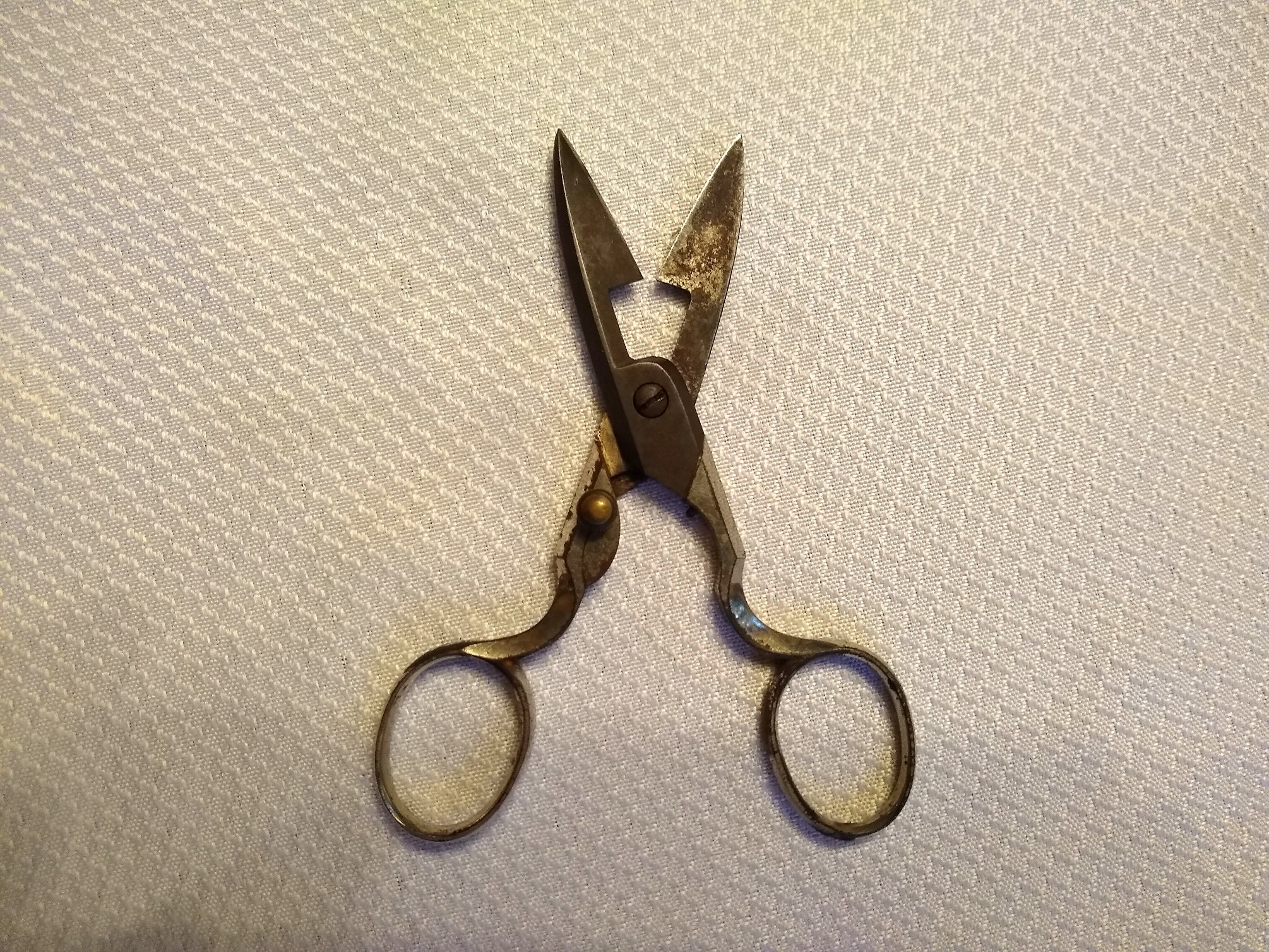 Three Rare Antique and Vintage Scissors Antique German Scissors ...