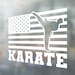 Karate American Flag Decal Many Colors & Size - Etsy