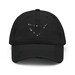Capricorn Zodiac Constellation Star Sign Distressed Cap Astrology ...