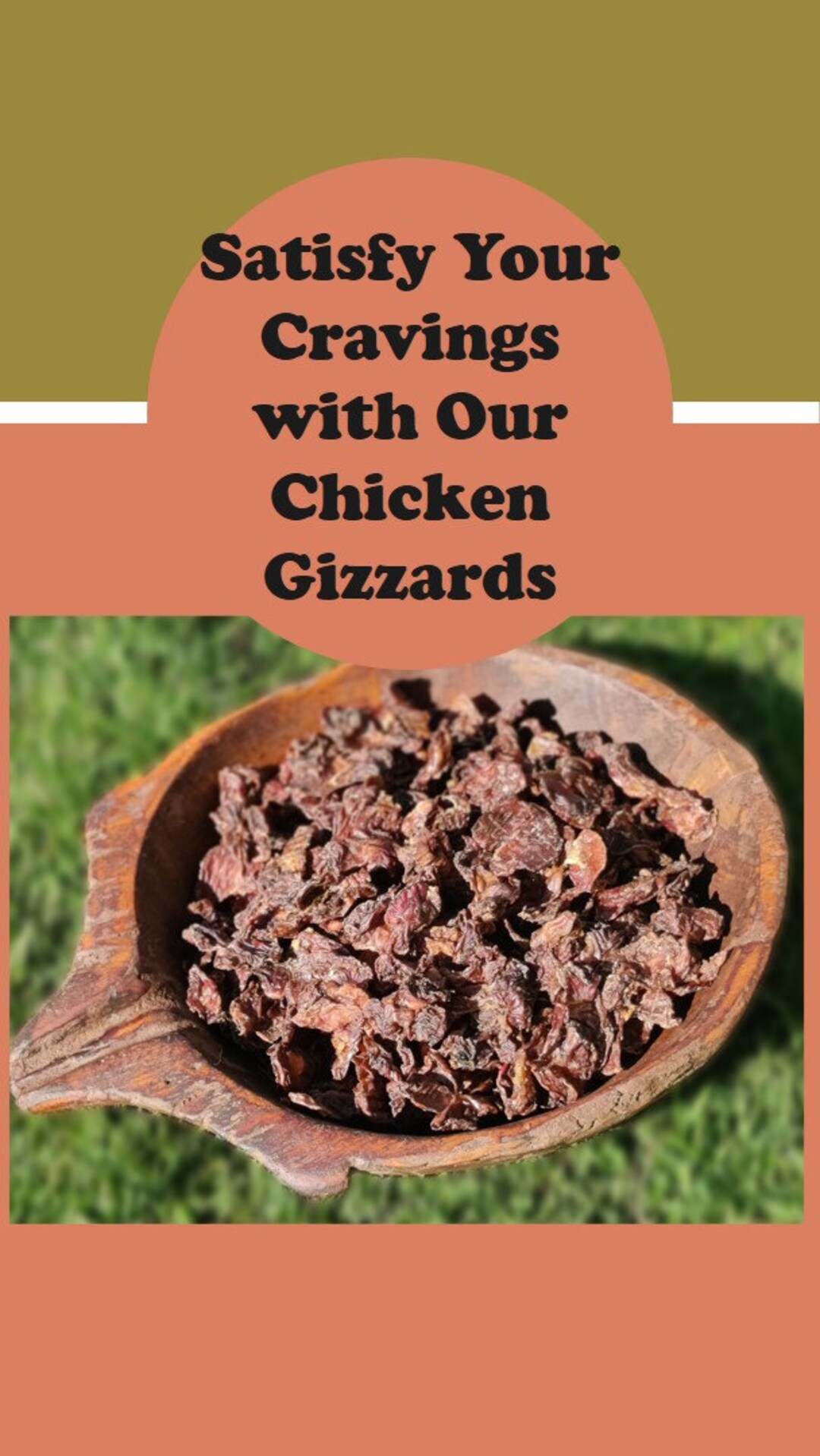 Chicken Gizzards - 4 Oz, Healthy Pet Treats, All-natural - Etsy