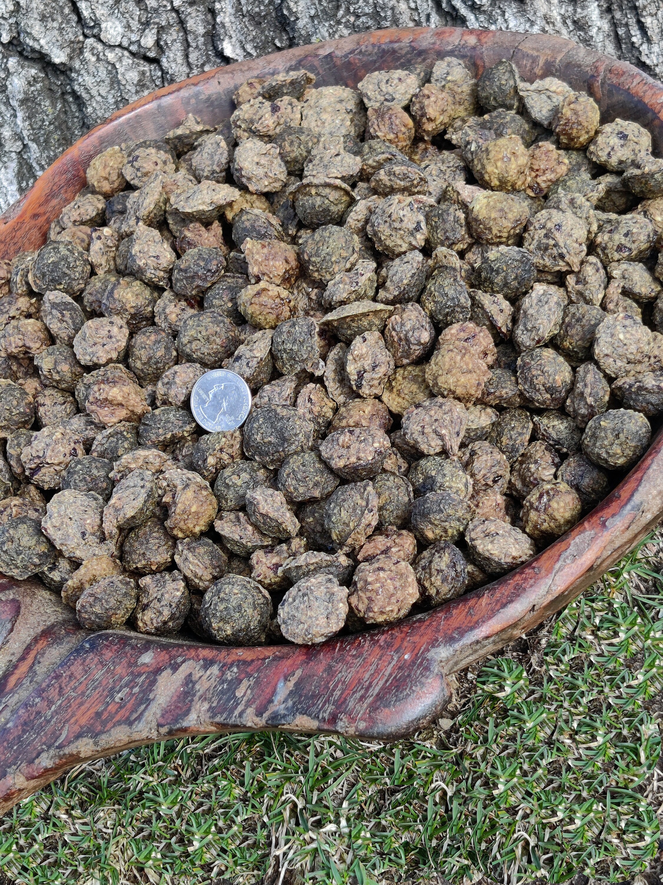 Inca Freeze Drying