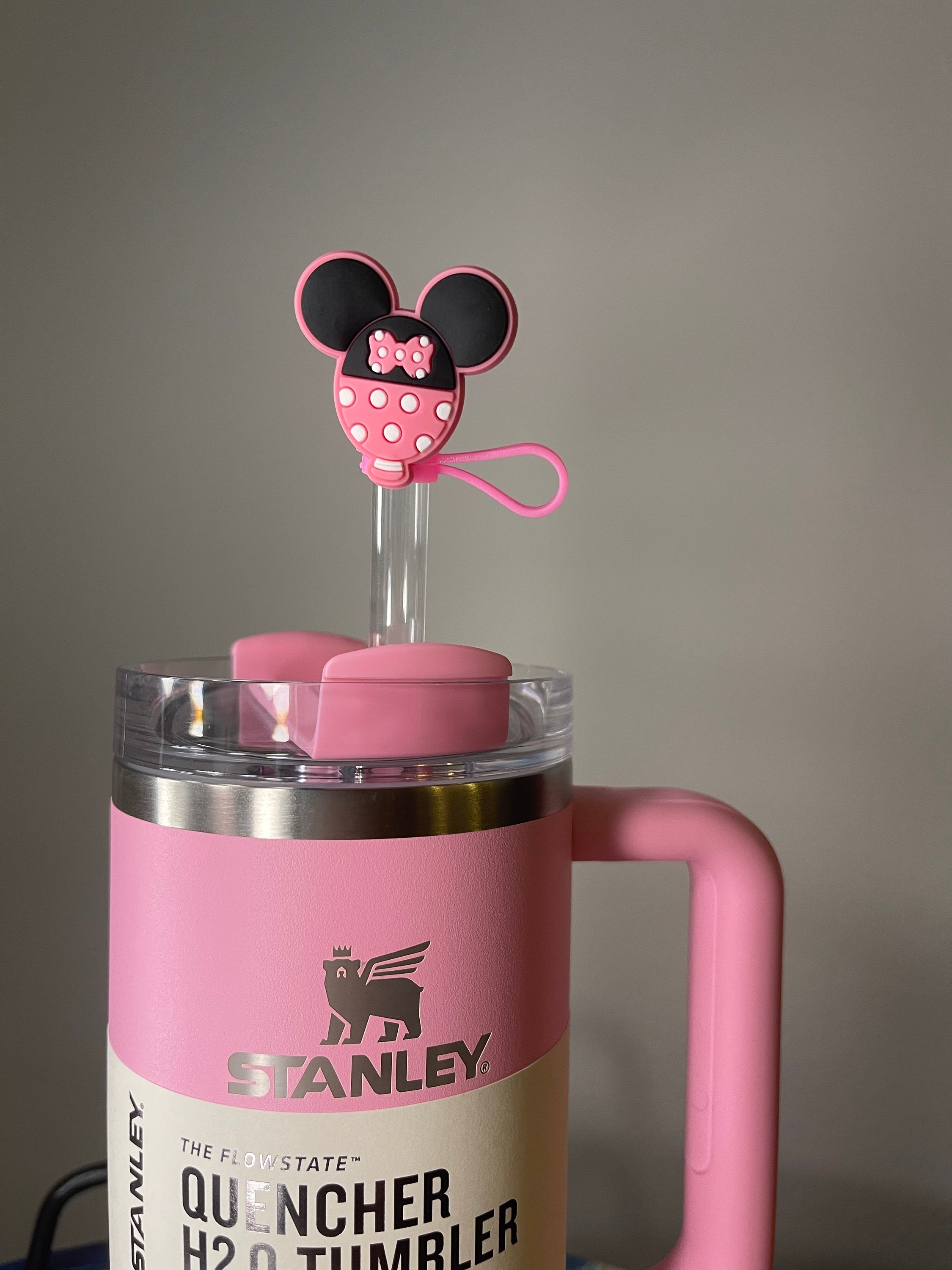 10 Pcs Disney Stanley Straw Toppers Pack - Etsy