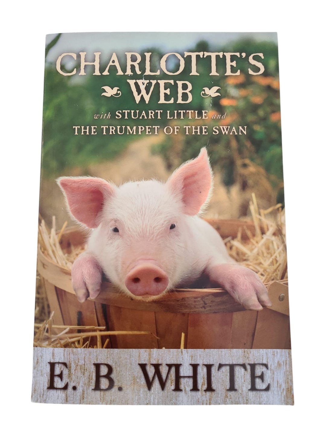 Charlotte’s Web With Stuart Little and the Trumpet of the Swan (1970 ...