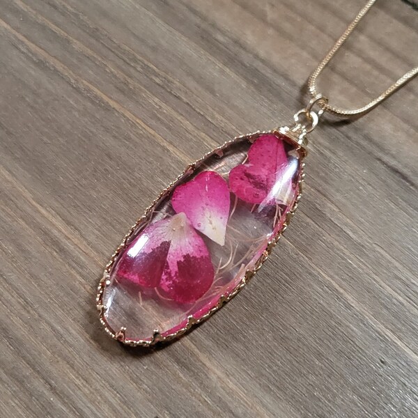 Bleeding Heart Plant - Etsy