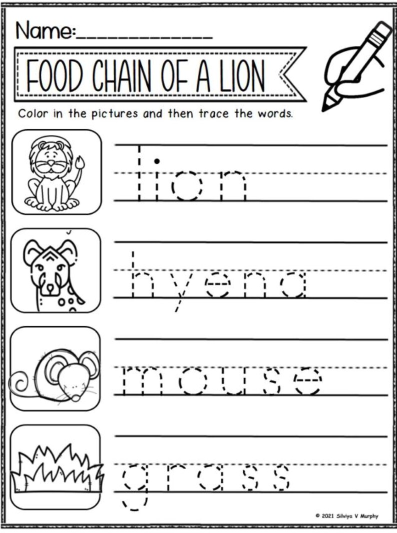 Lion Food Chain Flap Activity, Reader and Vocabulary Write - Etsy