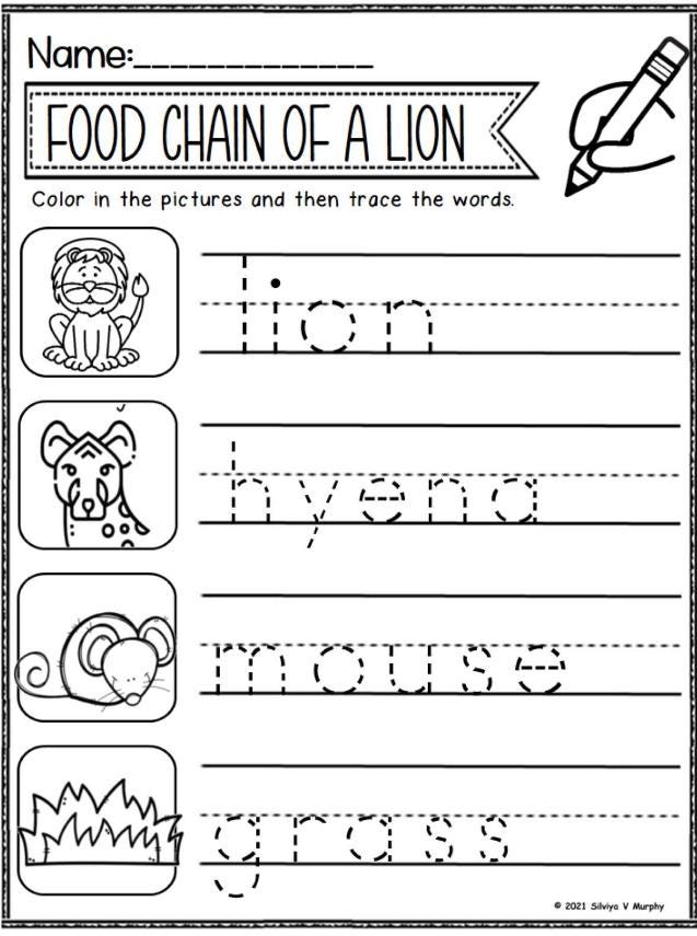 Lion Food Chain Flap Activity, Reader and Vocabulary Write - Etsy