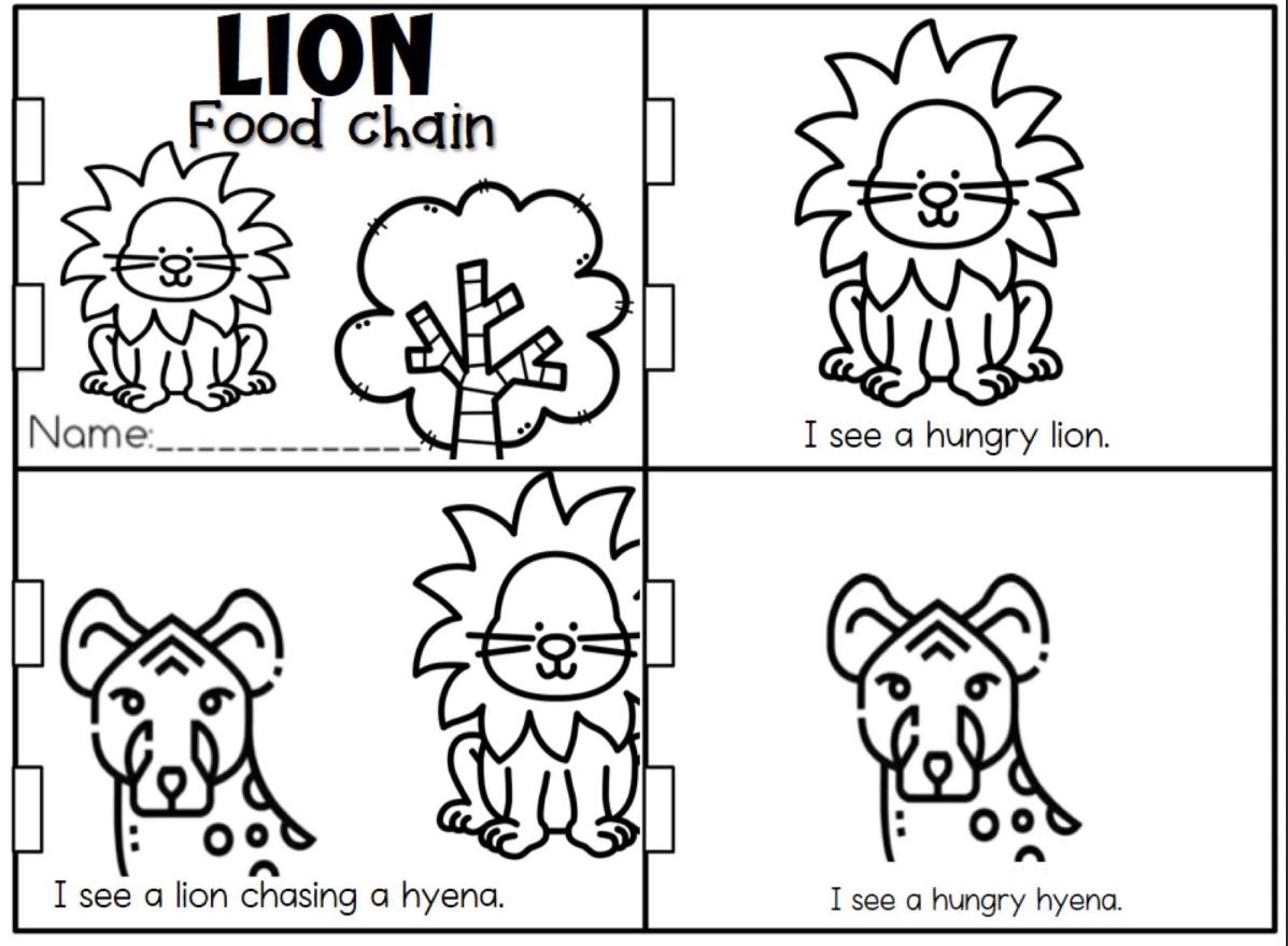 Lion Food Chain Flap Activity, Reader and Vocabulary Write - Etsy