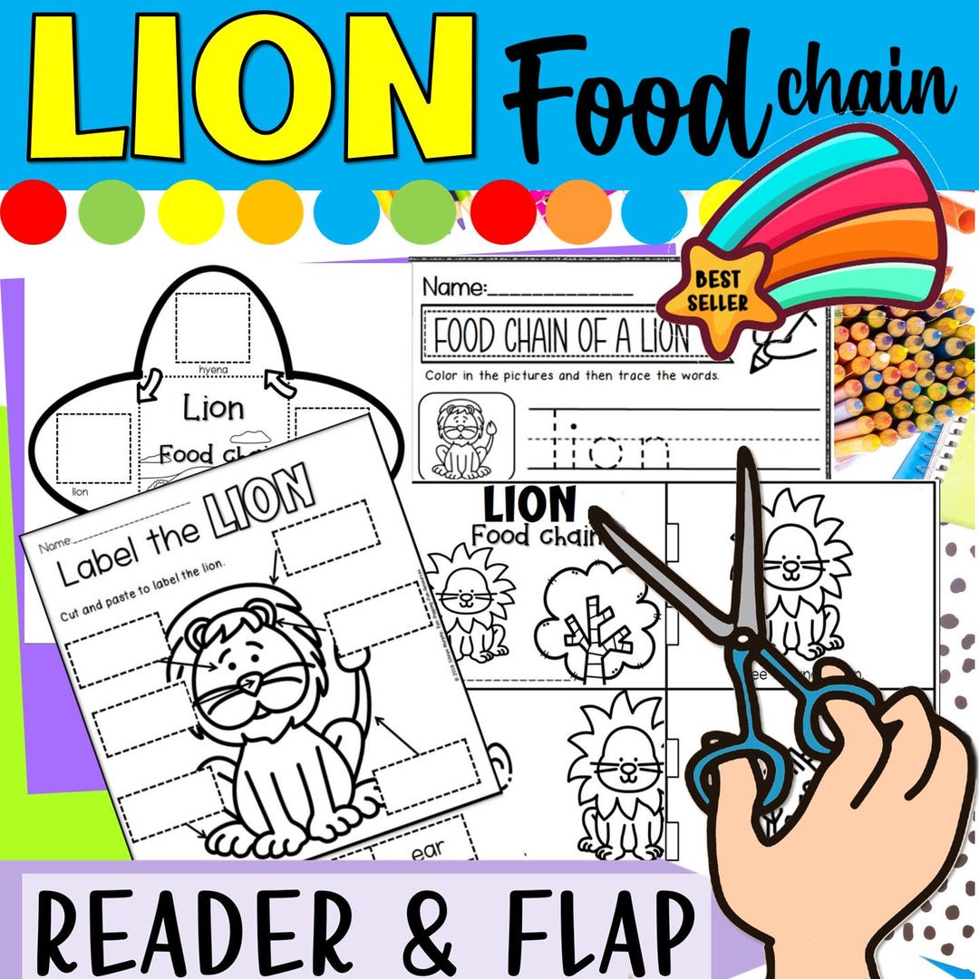 Lion Food Chain Flap Activity, Reader and Vocabulary Write - Etsy