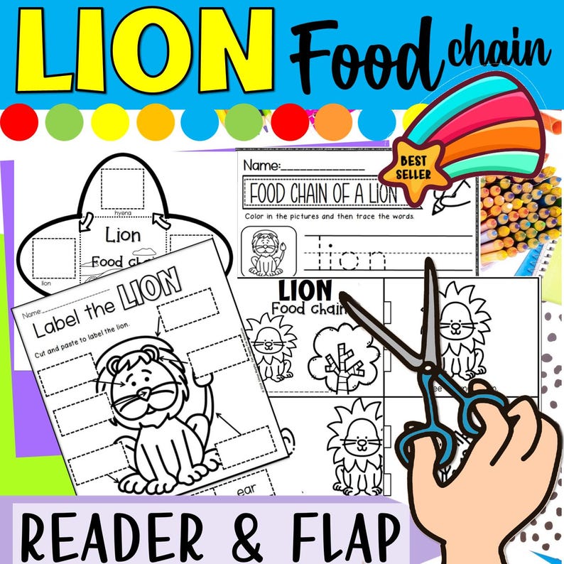 Lion Food Chain Flap Activity, Reader and Vocabulary Write - Etsy