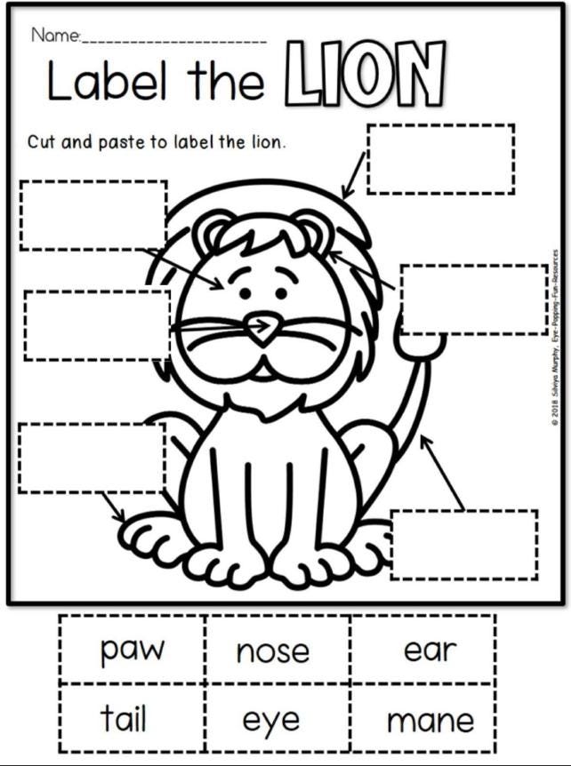Lion Food Chain Flap Activity, Reader and Vocabulary Write - Etsy