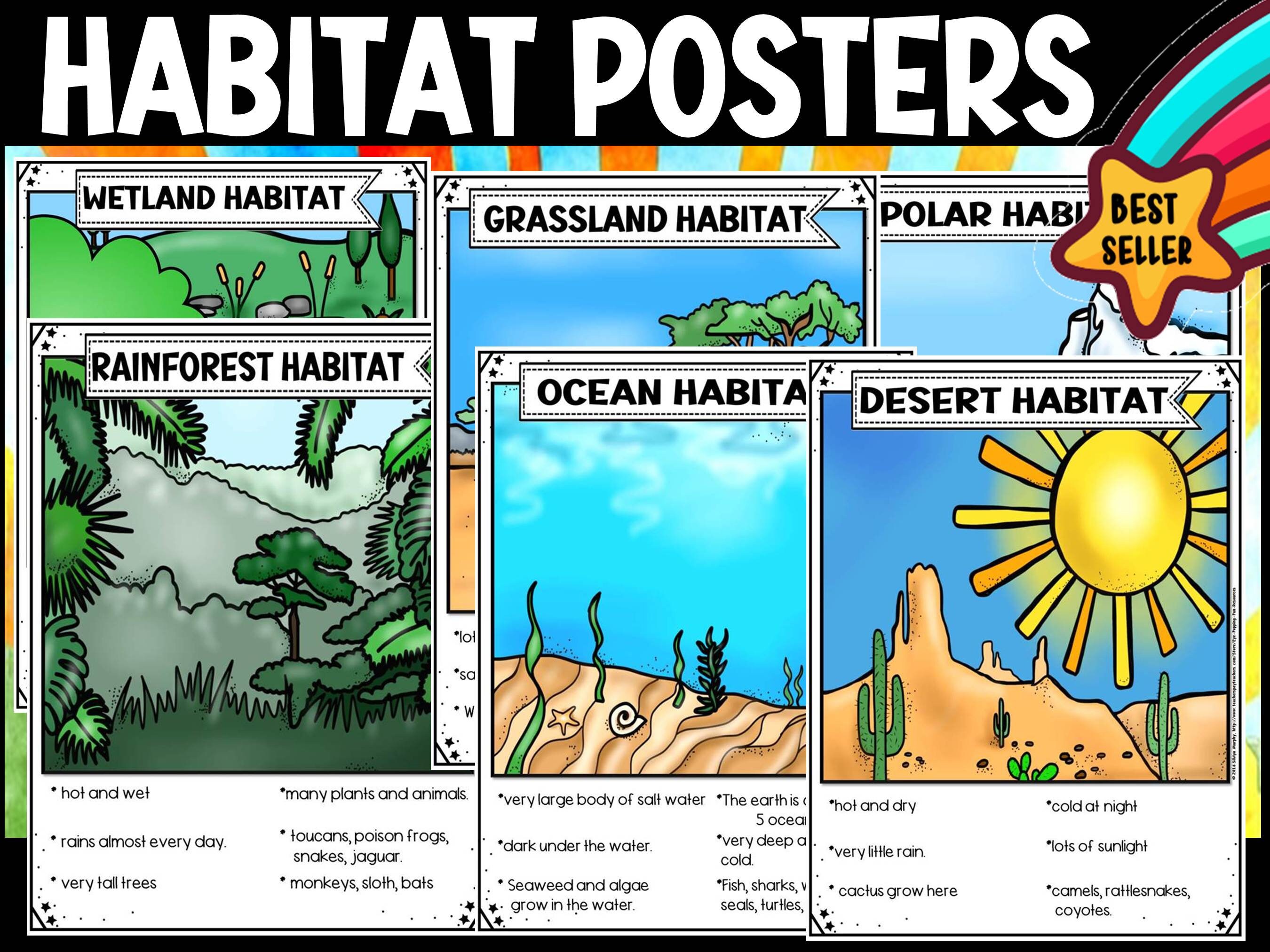 Cut and Paste Animals in Their Habitats|posters| Snakes and Ladders ...