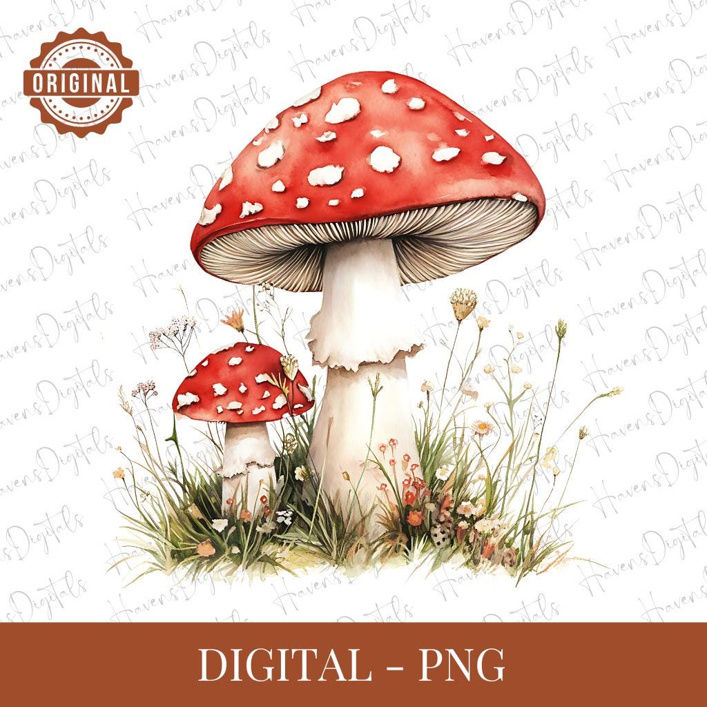 Watercolor Mushroom Clipart PNG – Cottagecore Toadstool Illustration ...