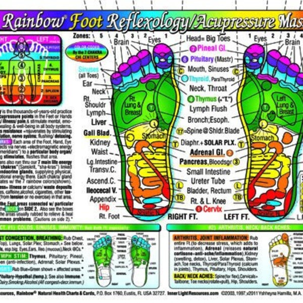 The Roby Chart© 11x17 Poster Showing Where Beliefs Affect Your Anatomy ...