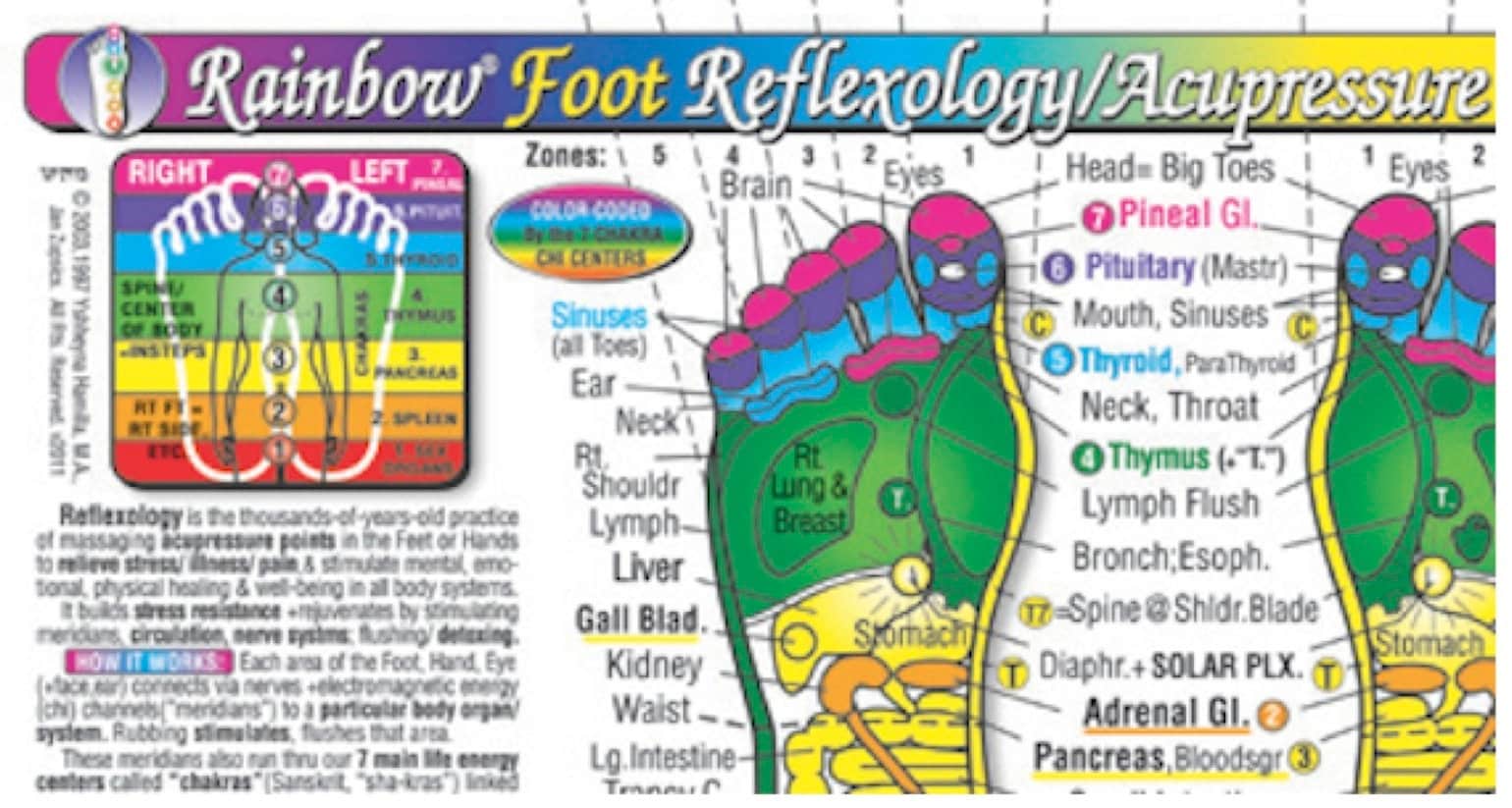 FOOT REFLEXOLOGY CHART Rainbow® Chakra Coded Acupressure Massage, Inner ...