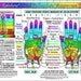 2 Chart Set: REFLEXOLOGY FOOT+ Hand/ Acupressure Massage CHARTS, Inner ...