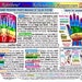HAND Reflexology CHART- Rainbow® Acupressure MASSAGE, Inner Light ...