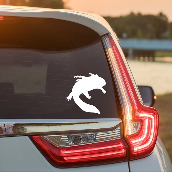 Axolotl Bumper Sticker - Etsy