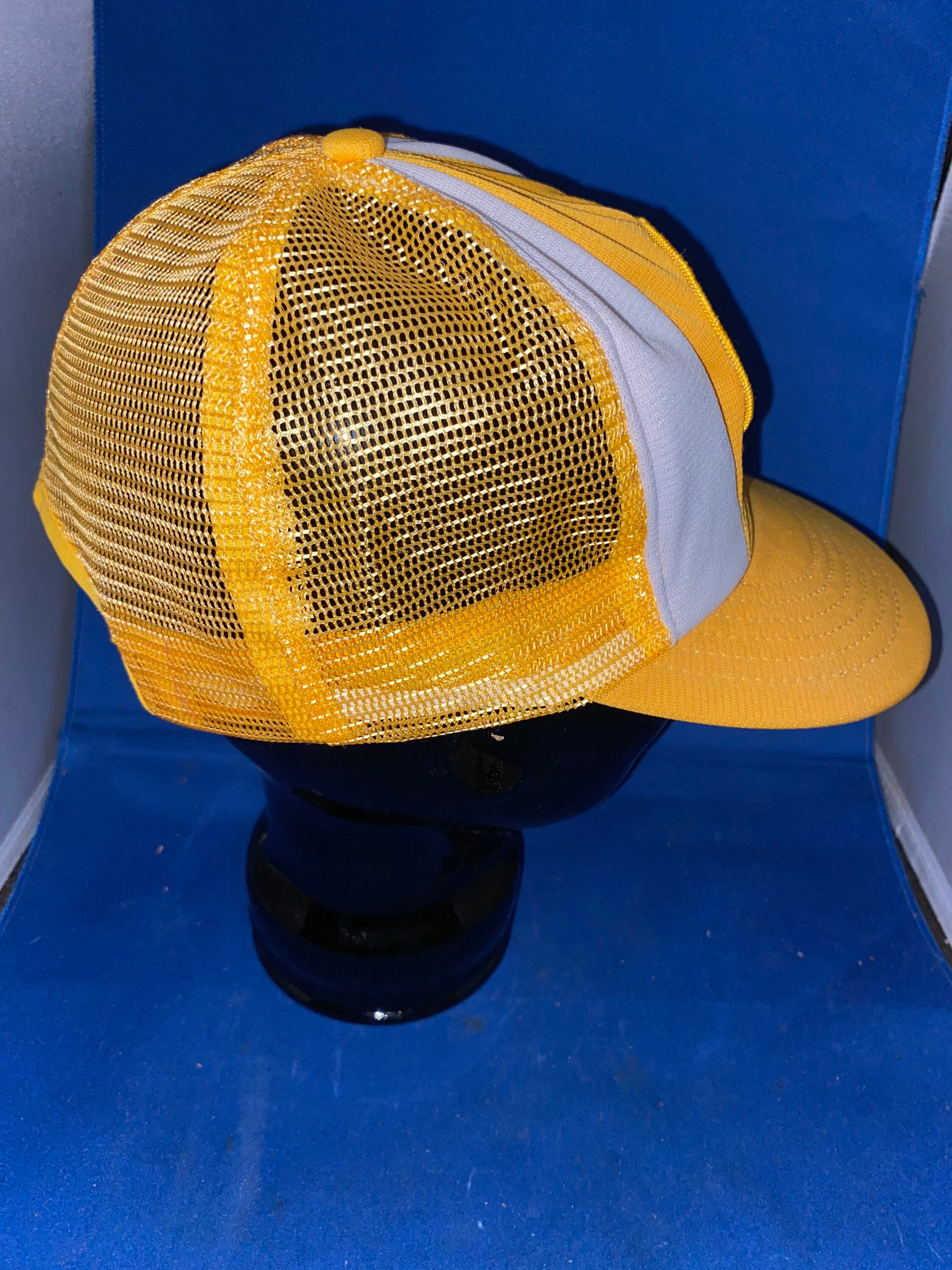 1981 FFA National 100% Plus Chapter Mesh Snapback Hat - Etsy