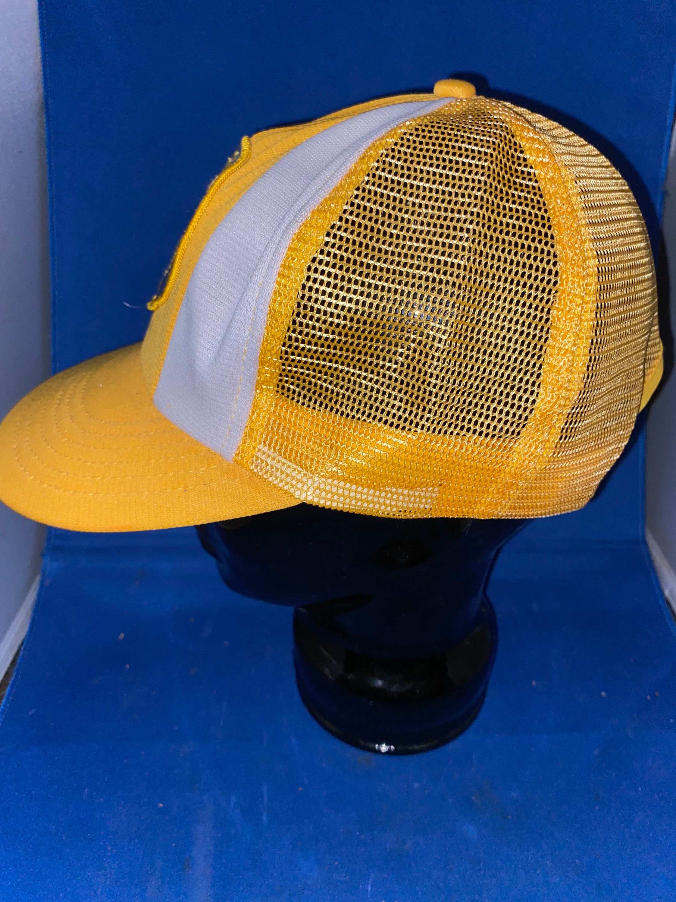 1981 FFA National 100% Plus Chapter Mesh Snapback Hat - Etsy