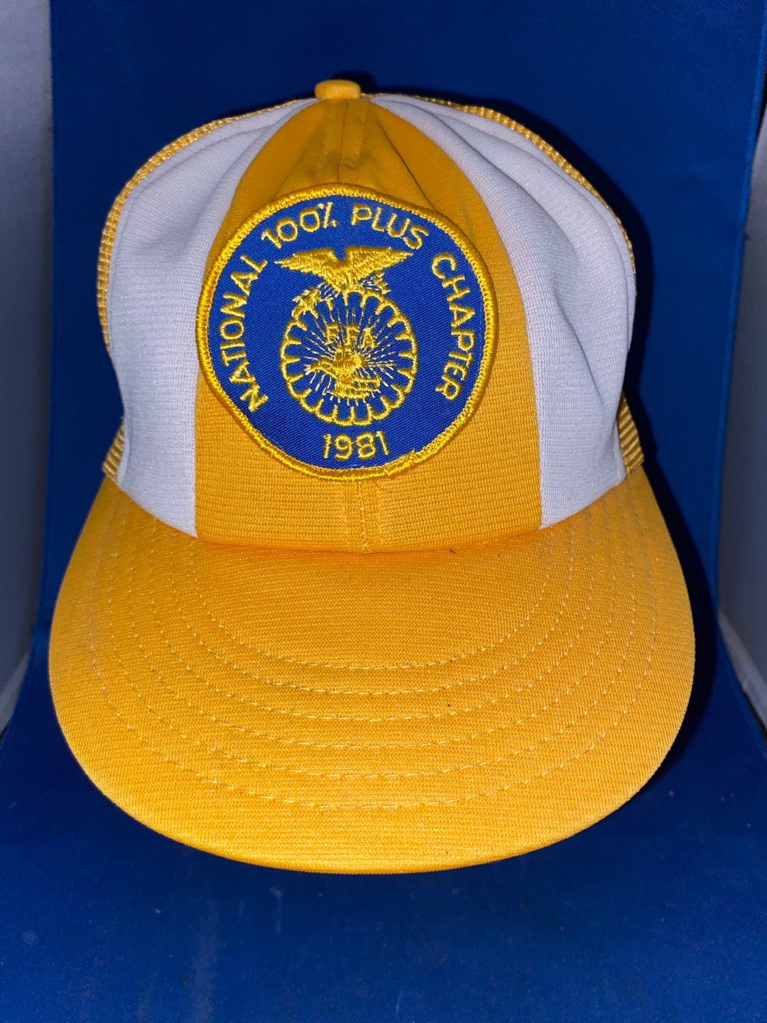 1981 FFA National 100% Plus Chapter Mesh Snapback Hat - Etsy