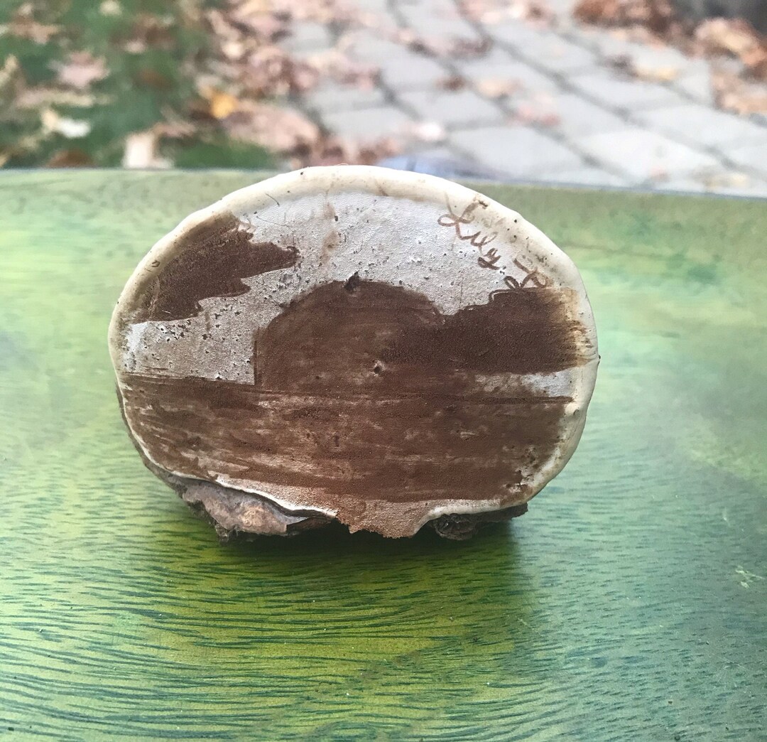 Hand-etched Artists Conk Sunset - Etsy