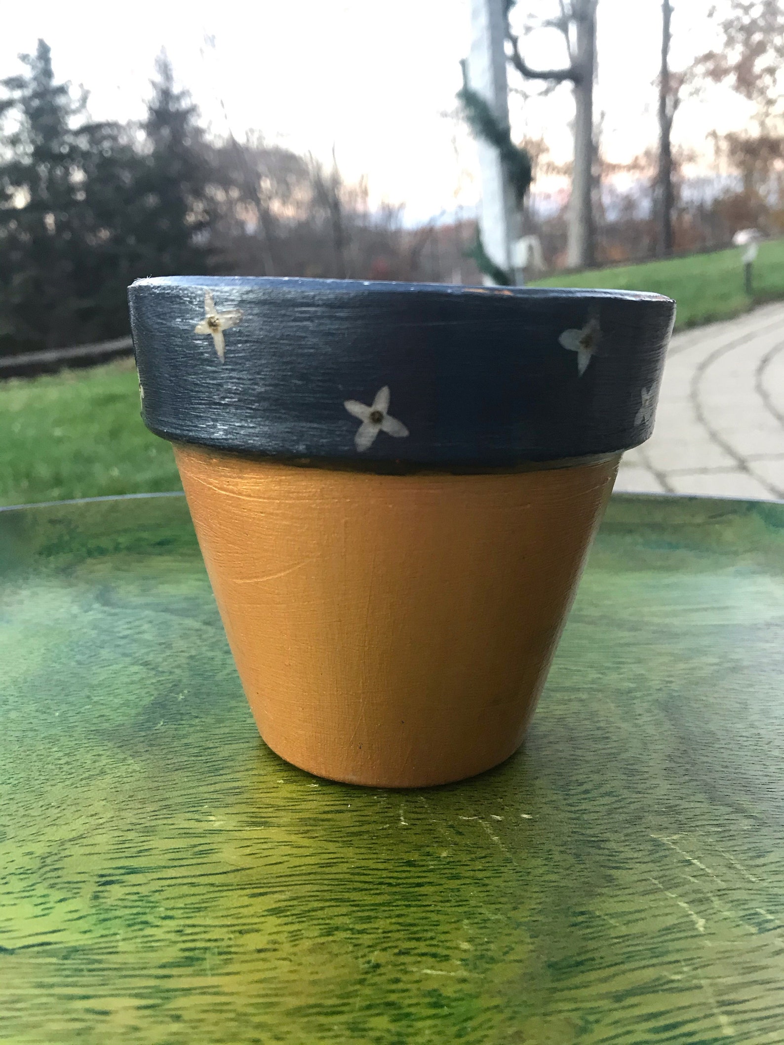 Pressed Flower Terracotta Pot - Etsy