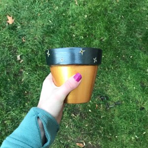 Pressed Flower Terracotta Pot - Etsy