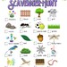 Bundle of 4 Outdoor Scavenger Hunt for Kids Backyard Scavenger Hunt ...