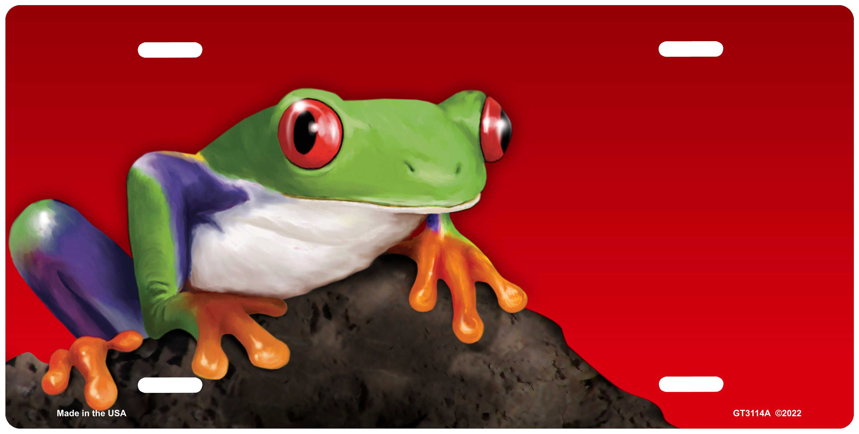 Personalized Tree Frogs, Ladybugs, & Dart Frog License Plates. Add Your ...