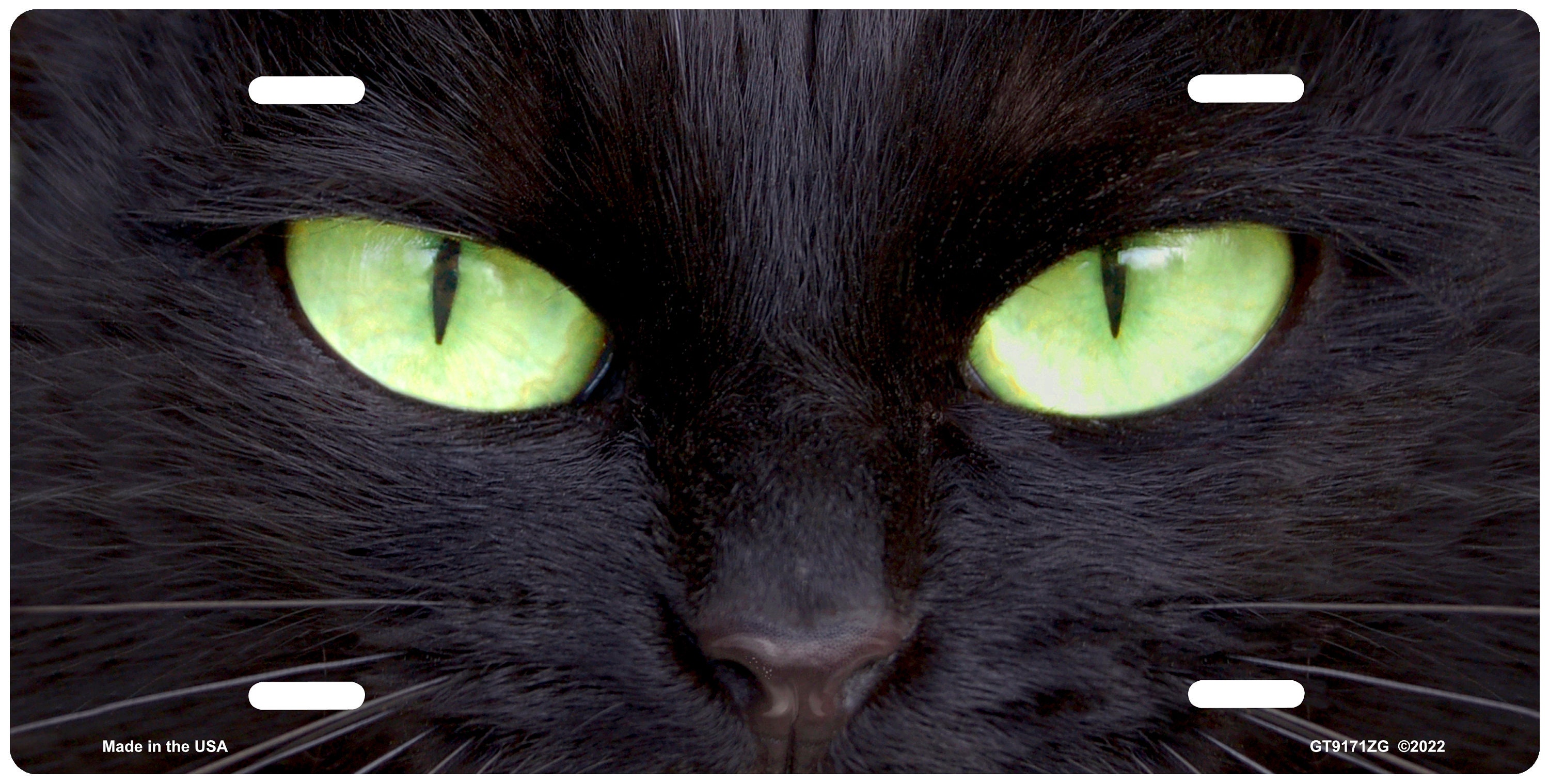 Personalized Custom Eyes, Cat Eyes, & Beach Lovers License Plates, Add ...