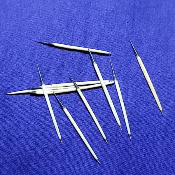 Porcupine Quills - Etsy