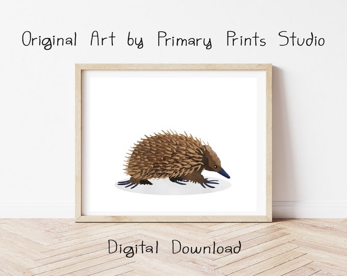 Echidna Art Print, Echidna Printable, Australian Animal Printable Art ...