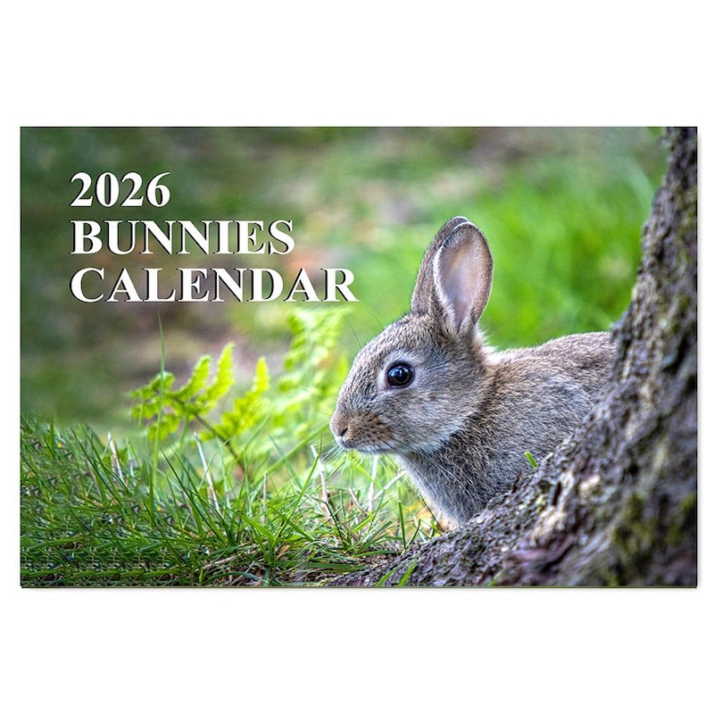 2026 Bunny Calendar - Etsy UK