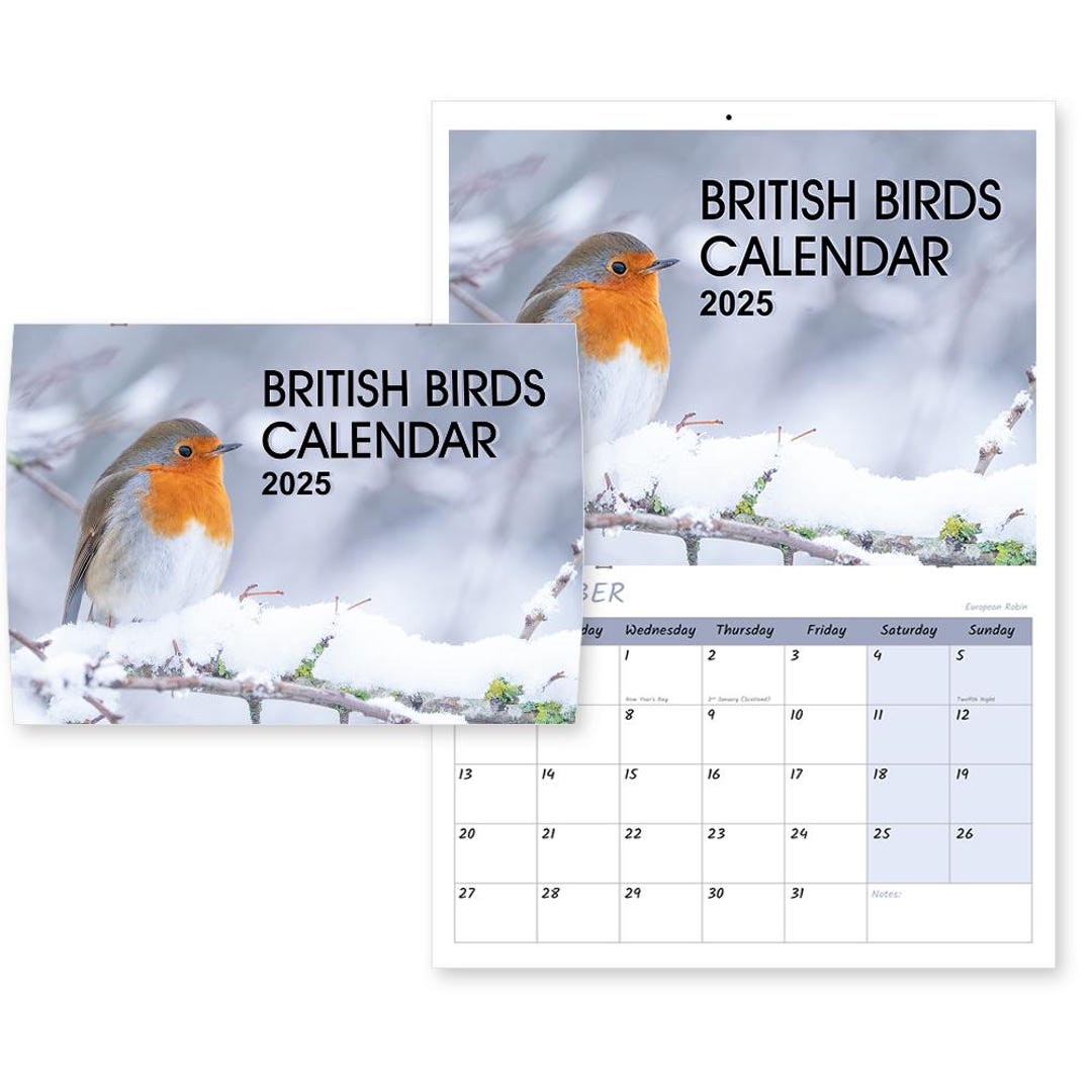 Papa Prints British Birds 2025 Calendar Garden Bird Calendar A4 ...
