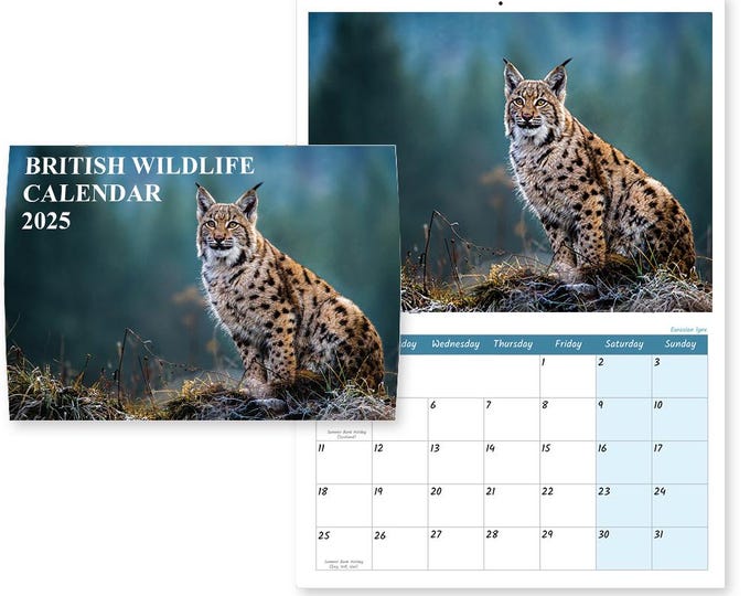 2025 Calendar British Wildlife Calendar 2025 Calendar A4 Calendar 2025 ...