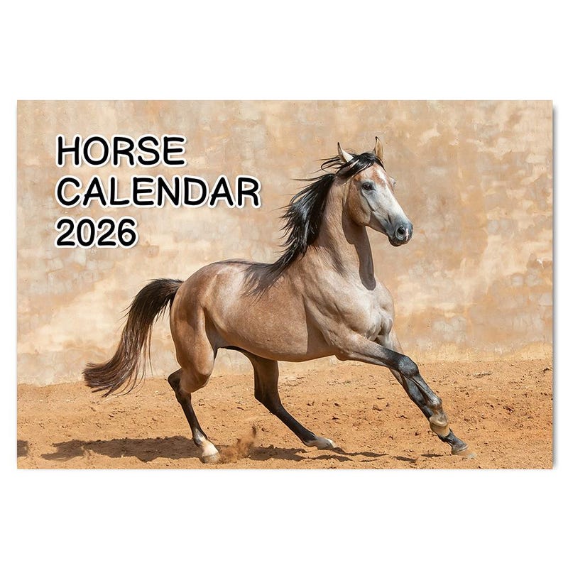 Calendar 2026 Cartoons - Etsy UK