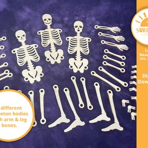 Halloween Posable Skeleton: Laser Cut Files (SVG PDF DXF Digital Download) - Etsy
