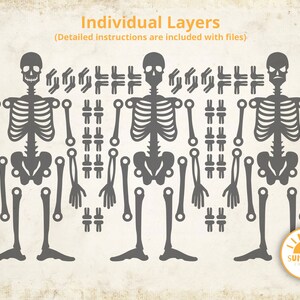 Halloween Posable Skeleton: Laser Cut Files (SVG PDF DXF Digital ...