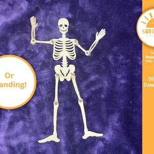 Halloween Posable Skeleton: Laser Cut Files (SVG PDF DXF Digital Download) - Etsy