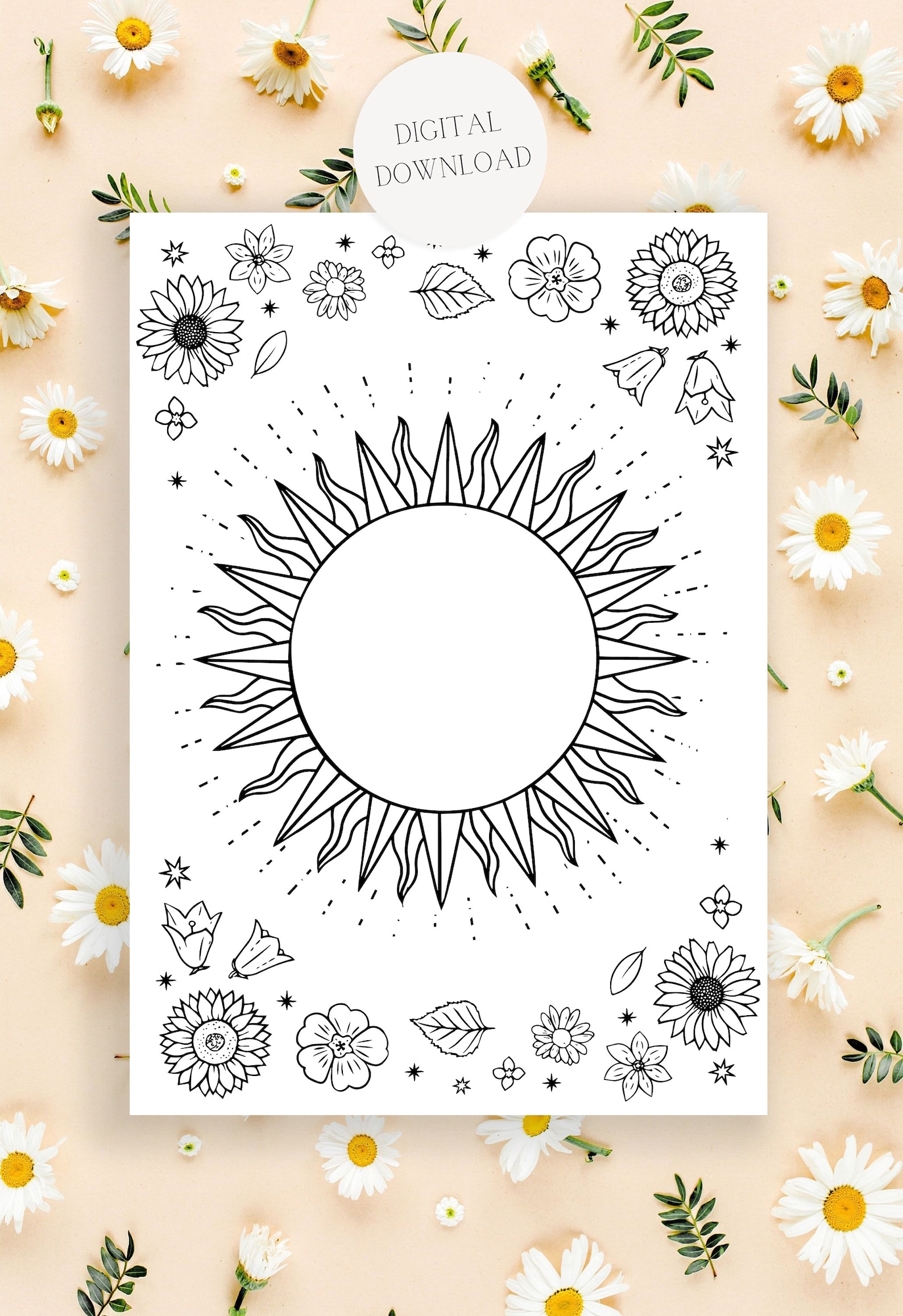 Solstices and Equinoxes Illustrations Winter and Summer Solstice ...