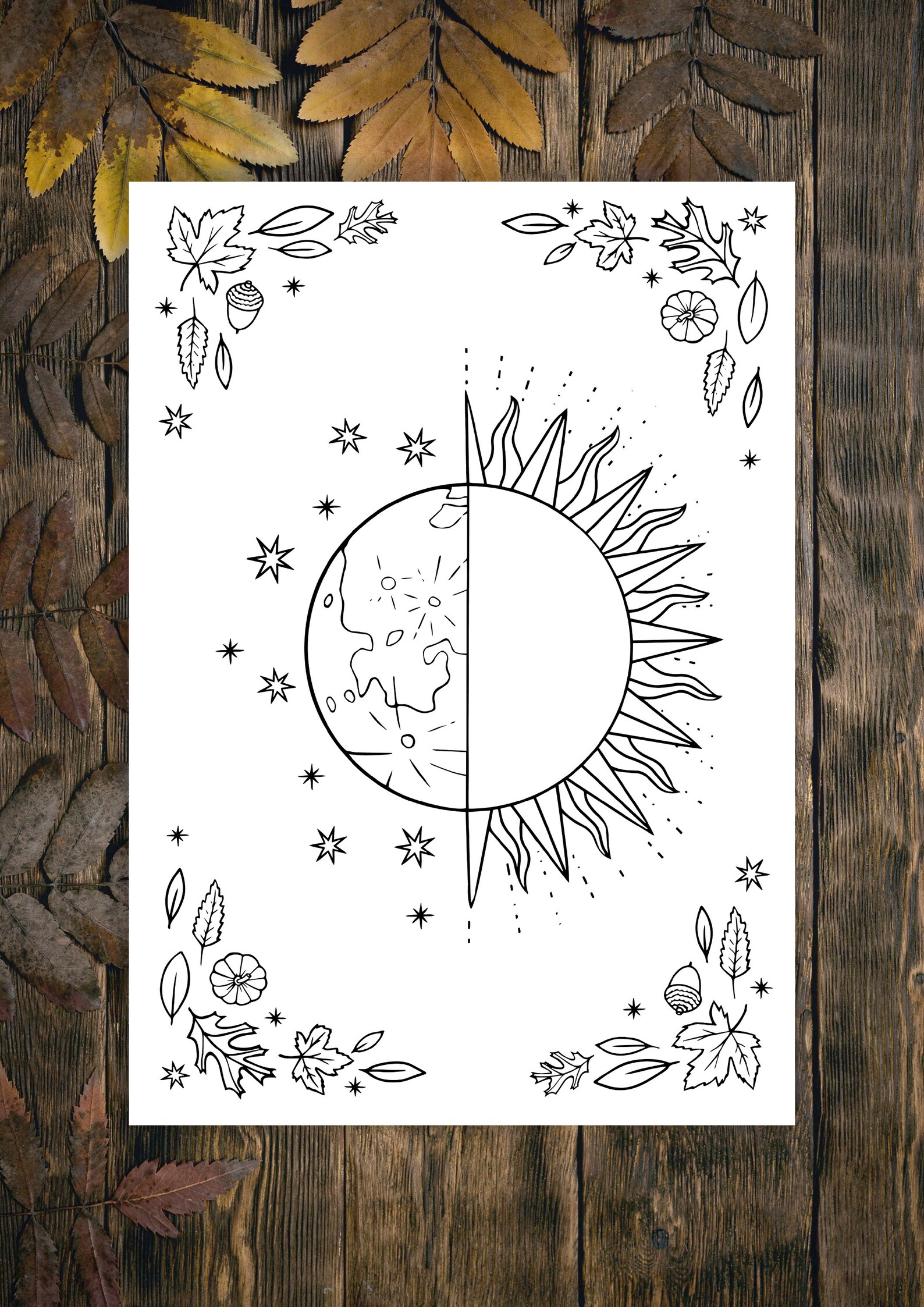 Autumn Equinox Coloring Page - Fall Art Project (digital Download) - Etsy