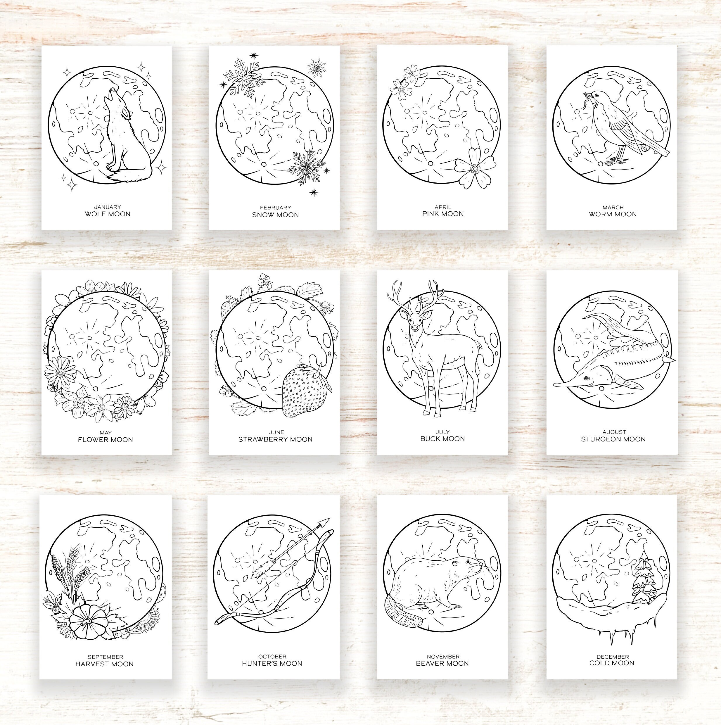 12 Moon Name Colouring Pages Full Moon Month and Name Moon - Etsy