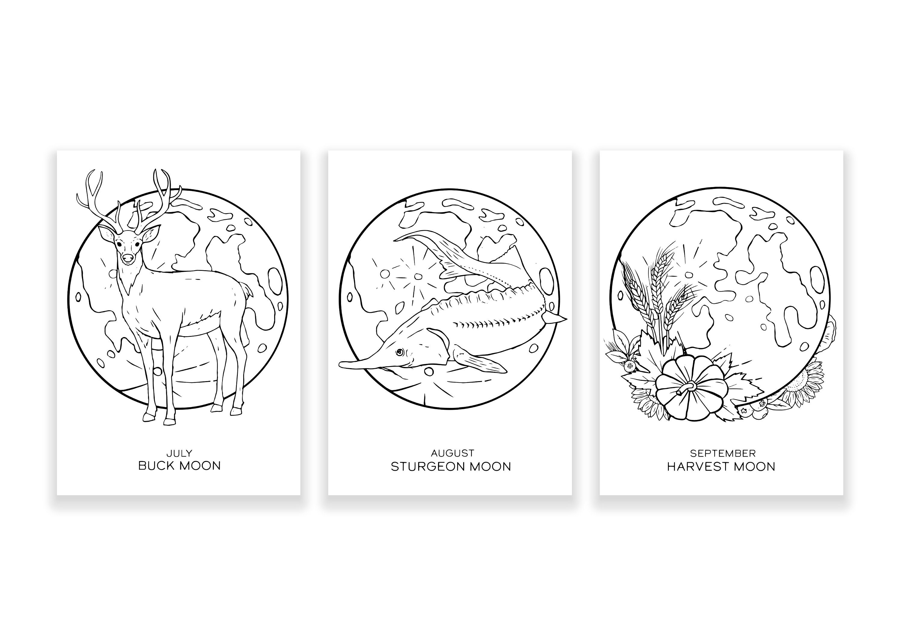 12 Moon Name Colouring Pages Full Moon Month and Name Moon - Etsy
