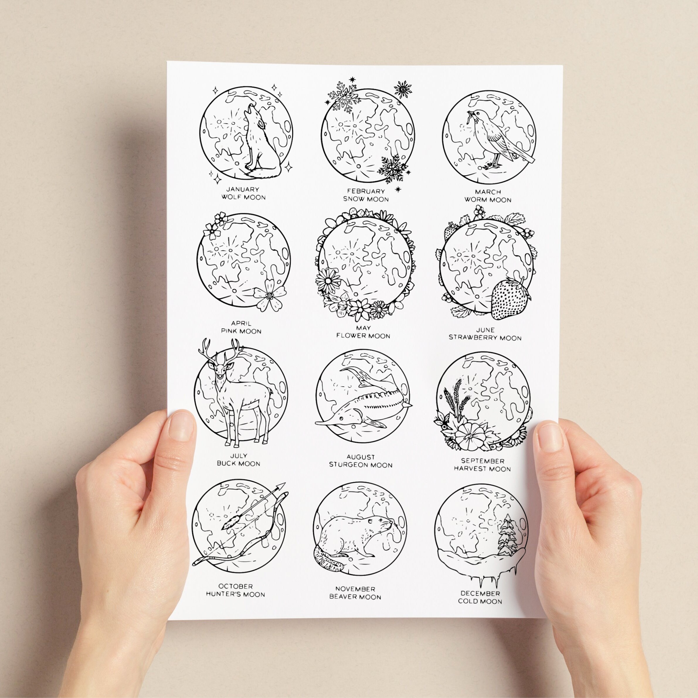 12 Moon Name Colouring Pages Full Moon Month and Name Moon - Etsy