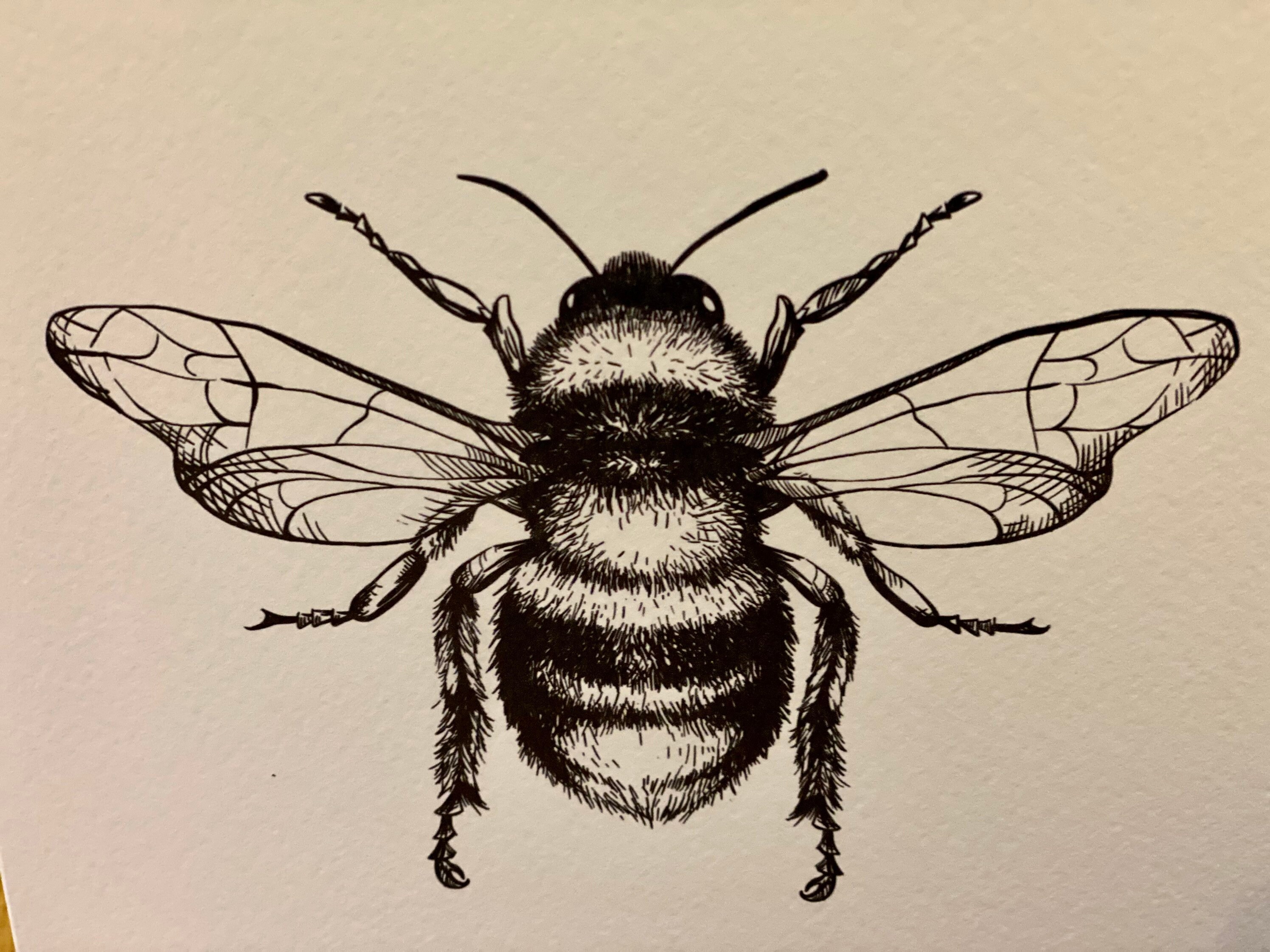 Bee Greeting Card - Blank 15x15cm - Etsy