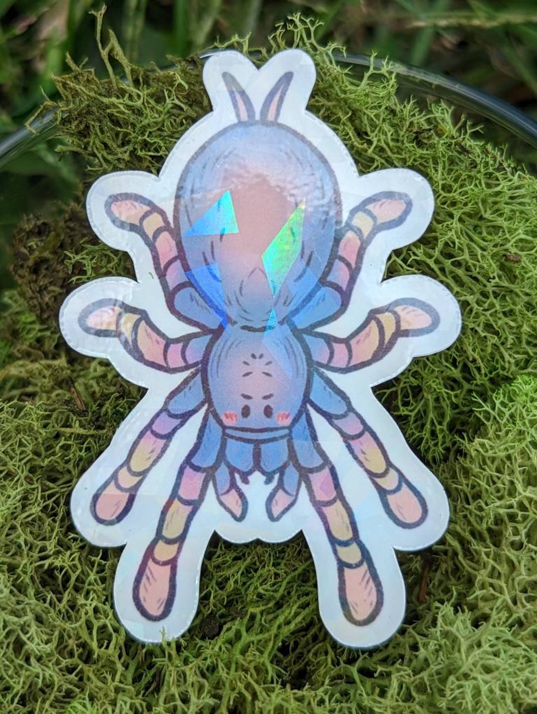 Cute Colorful Tarantula Sticker Ll Water Resistant Glossy Vinyl - Etsy